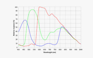 ASI224MC – Discovery Astrophotography with ZWO ASTRO